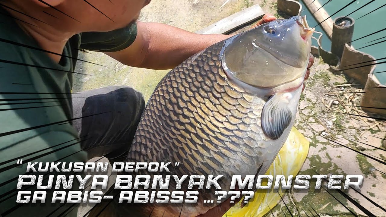 PEMANCINGAN KUKUSAN DEPOK PUNYA BANYAK MONSTER YANG GA ABIS - ABIS ...