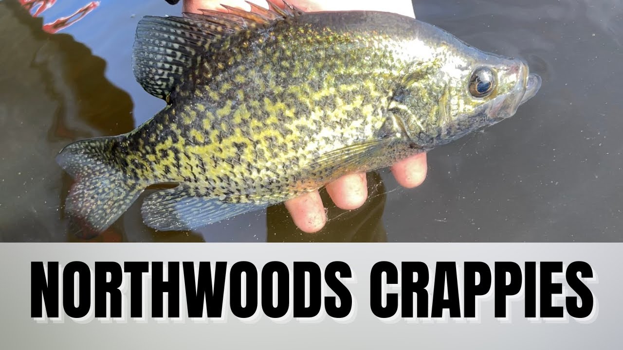 Bobber Fishing Northern Wisconsin Crappies - YouTube