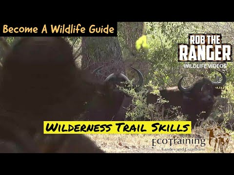 HOW TO: Become A Wildlife Guide |@EcoTraining| Wilderness Trails Skills ...