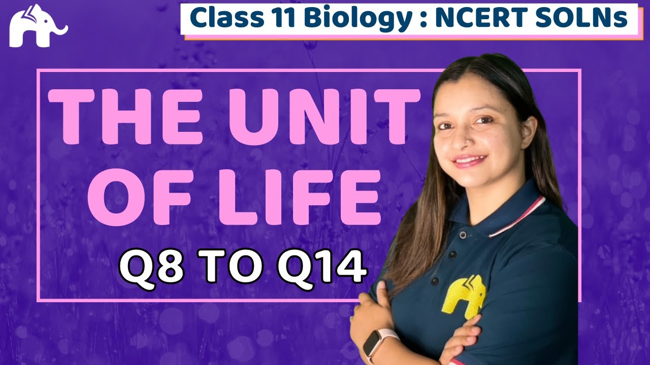 Cell: The Unit of Life Class 11 Biology | Chapter 8 NCERT Solutions ...