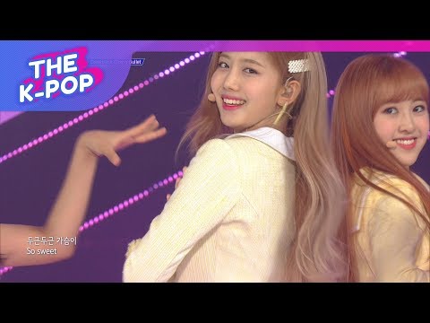 Cherry Bullet, Really Really [THE SHOW 190528]