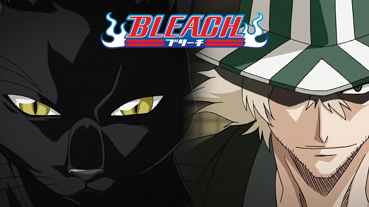 Bleach E17_2 Breakdown: Ichigo vs. Renji! The Desperate Battle for ...