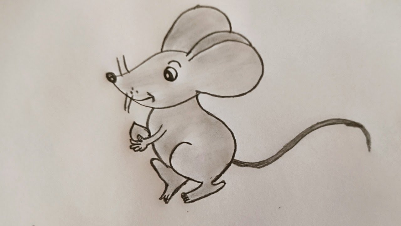 How To Draw A Realistic Mouse || How To Draw Better With A Mouse - YouTube