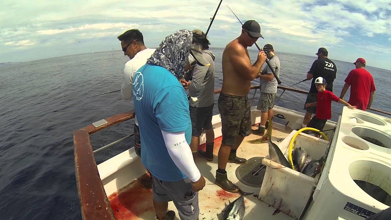 Bluefin Tuna - Moon's Custom Rods in Action - YouTube