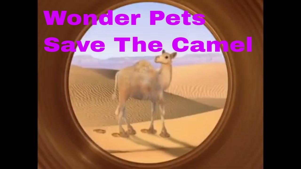 Wonder Pets Save The Camel - YouTube