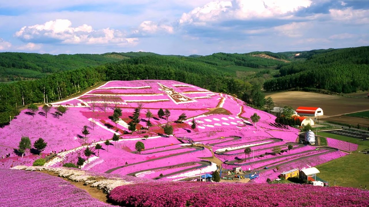 The most beautiful season is coming (HD1080p) - YouTube