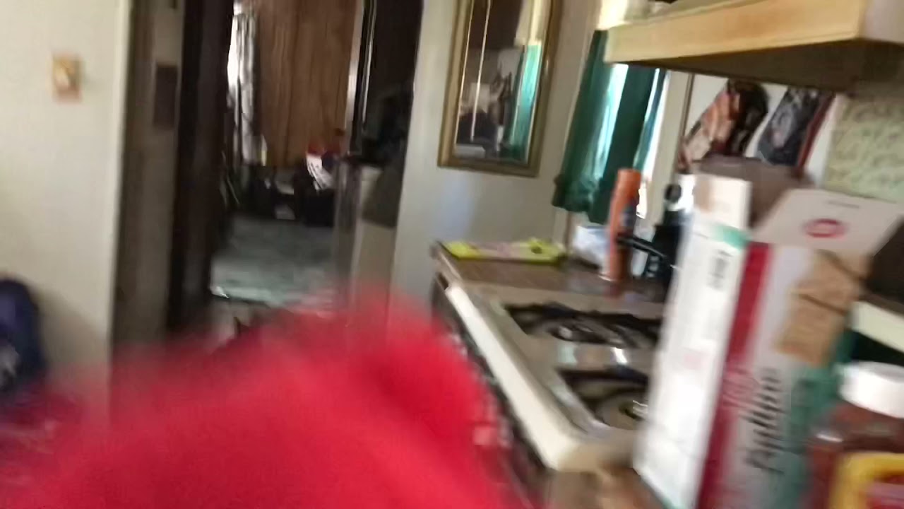 Poop and snot|bruh moment|snotsgiving|Splish splash your opinion is ...