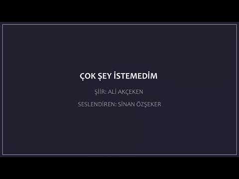 COK ŞEY İSTEMEDİM