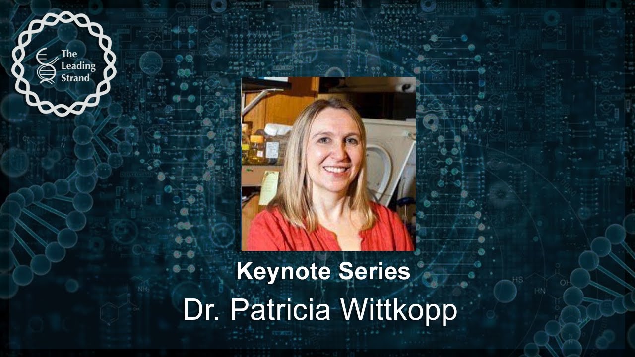CSHL Keynote, Dr. Patricia Wittkopp, University of Michigan - YouTube