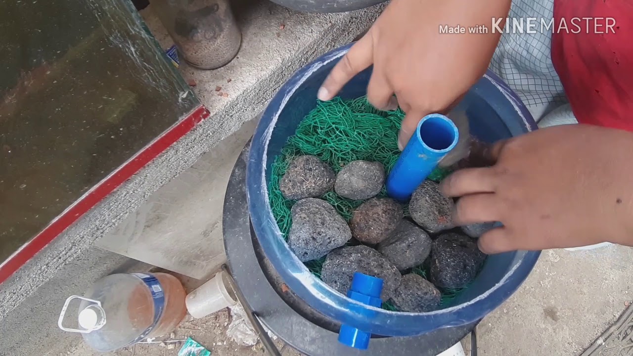 DIY AQUARIUM EXTERNAL FILTER - YouTube