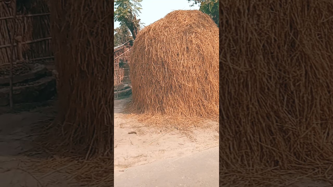 2 December 2024 - YouTube