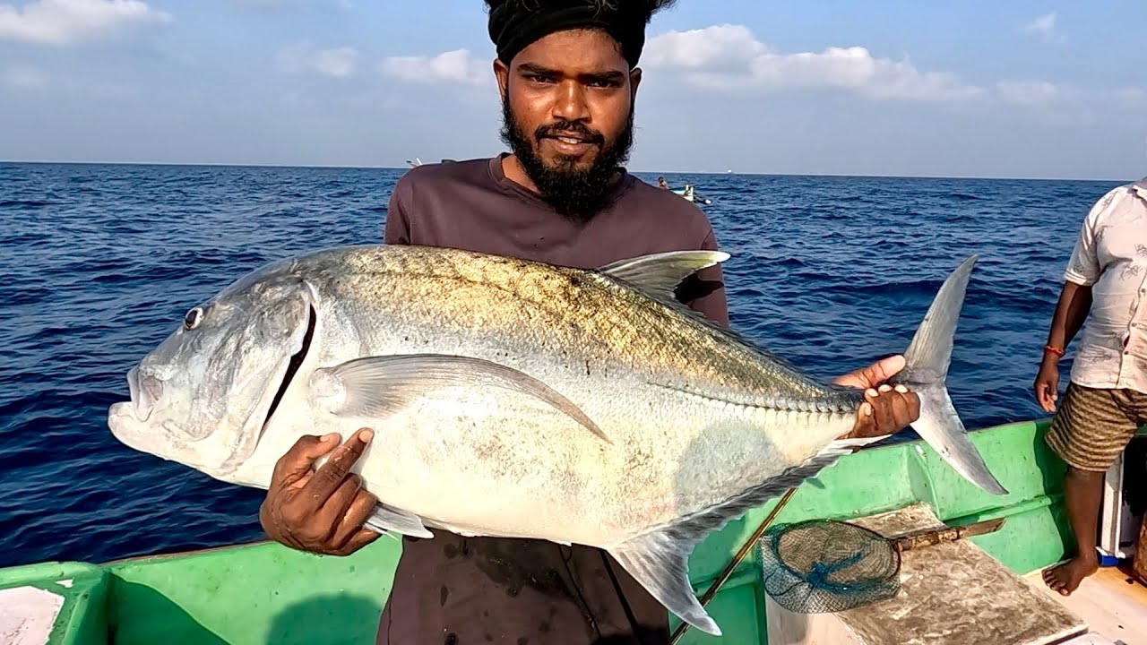 Giant Trevally Caught Using Live Indian Mackerel Bait - YouTube