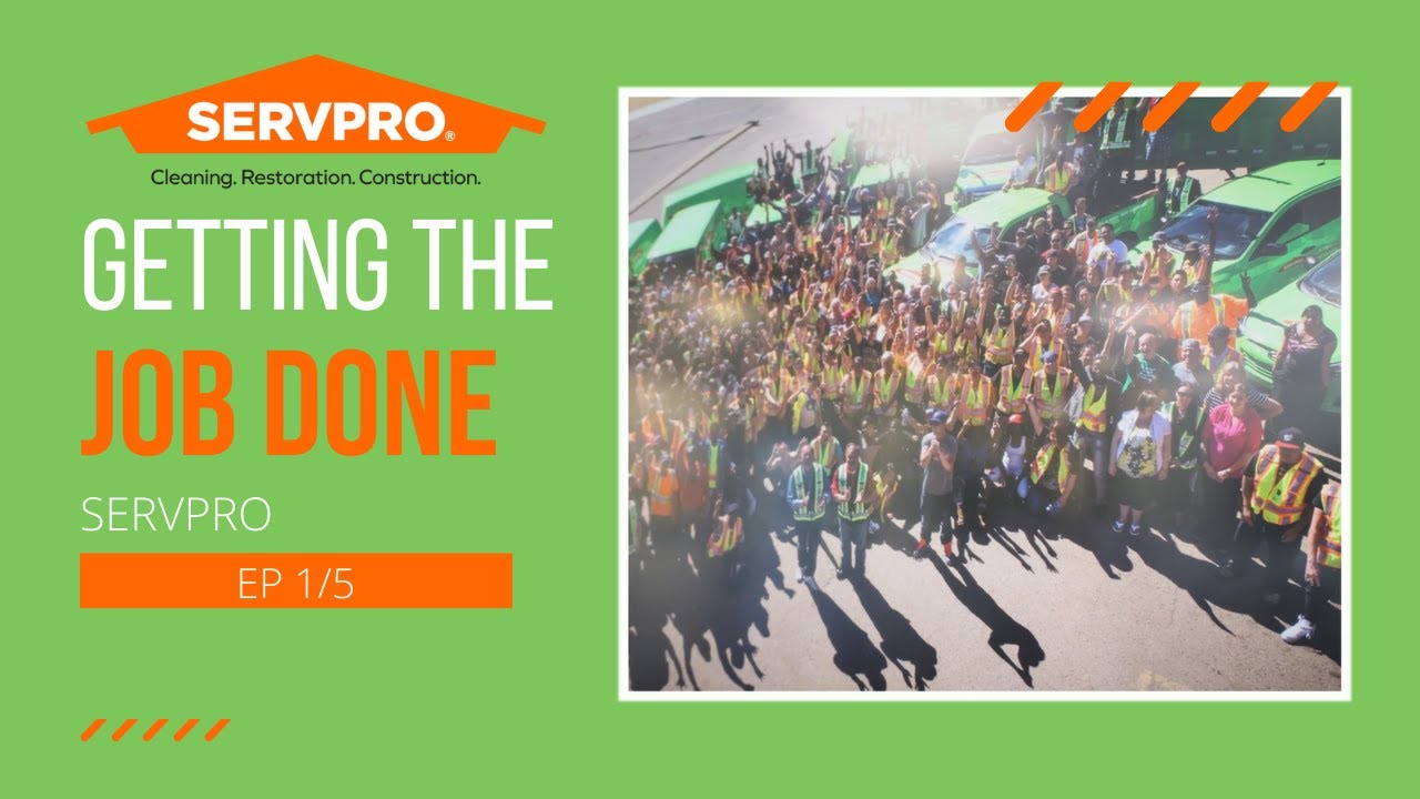 SERVPRO Getting the Job Done | Calgary Business | ENTA Asks - YouTube