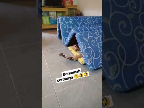 videolucu #shorts #shortsviral #tenda #camping #viralvideo #bocil