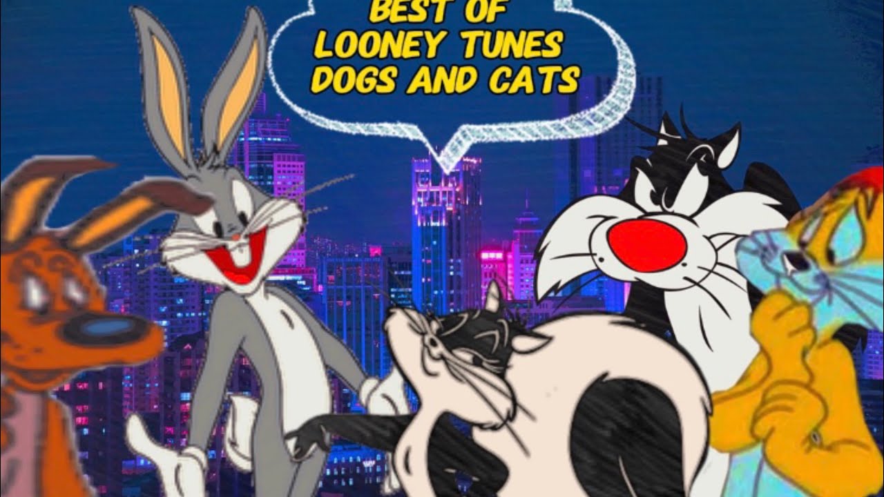 Looney Tunes Dogs And Cats Memorable Moments MV - YouTube