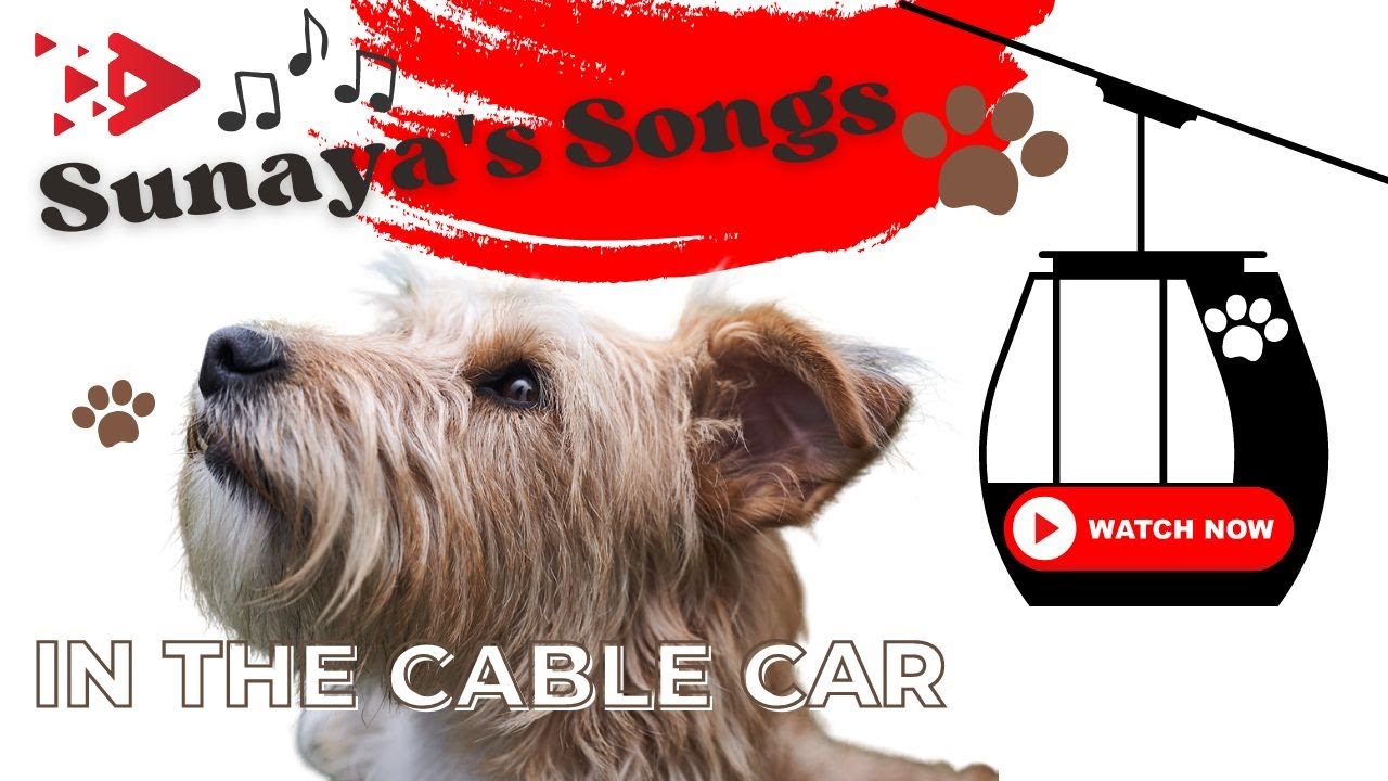 Sunaya's duetts with Native Style Flute - In the Cable Car - YouTube