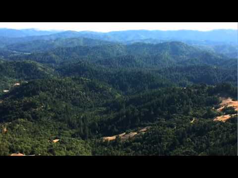 Robert Janover's Sonoma County Redwood forest aerial slideshow - YouTube