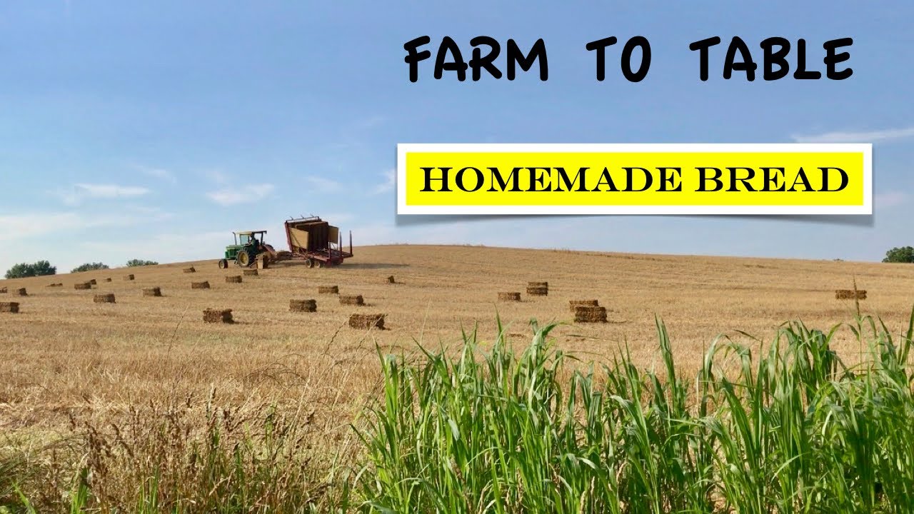 FARM TO TABLE - HOMEMADE BREAD - YouTube