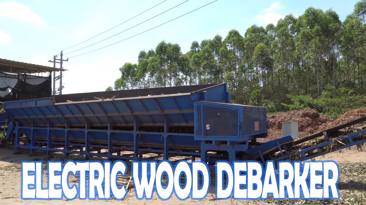Log Debarker Pine Pole Electric Wood Debarker 2020 - YouTube