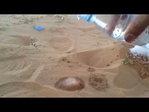 Making ice in the desert - YouTube
