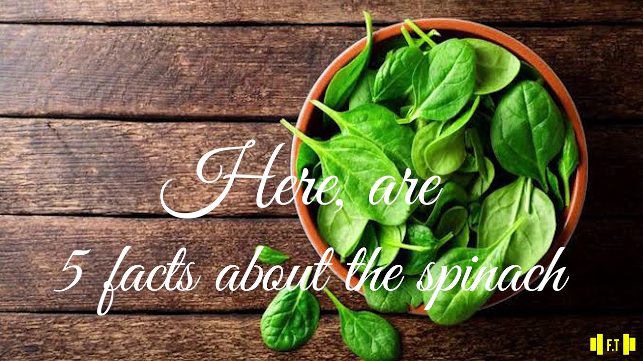 5 Healthy Facts About Spinach - YouTube