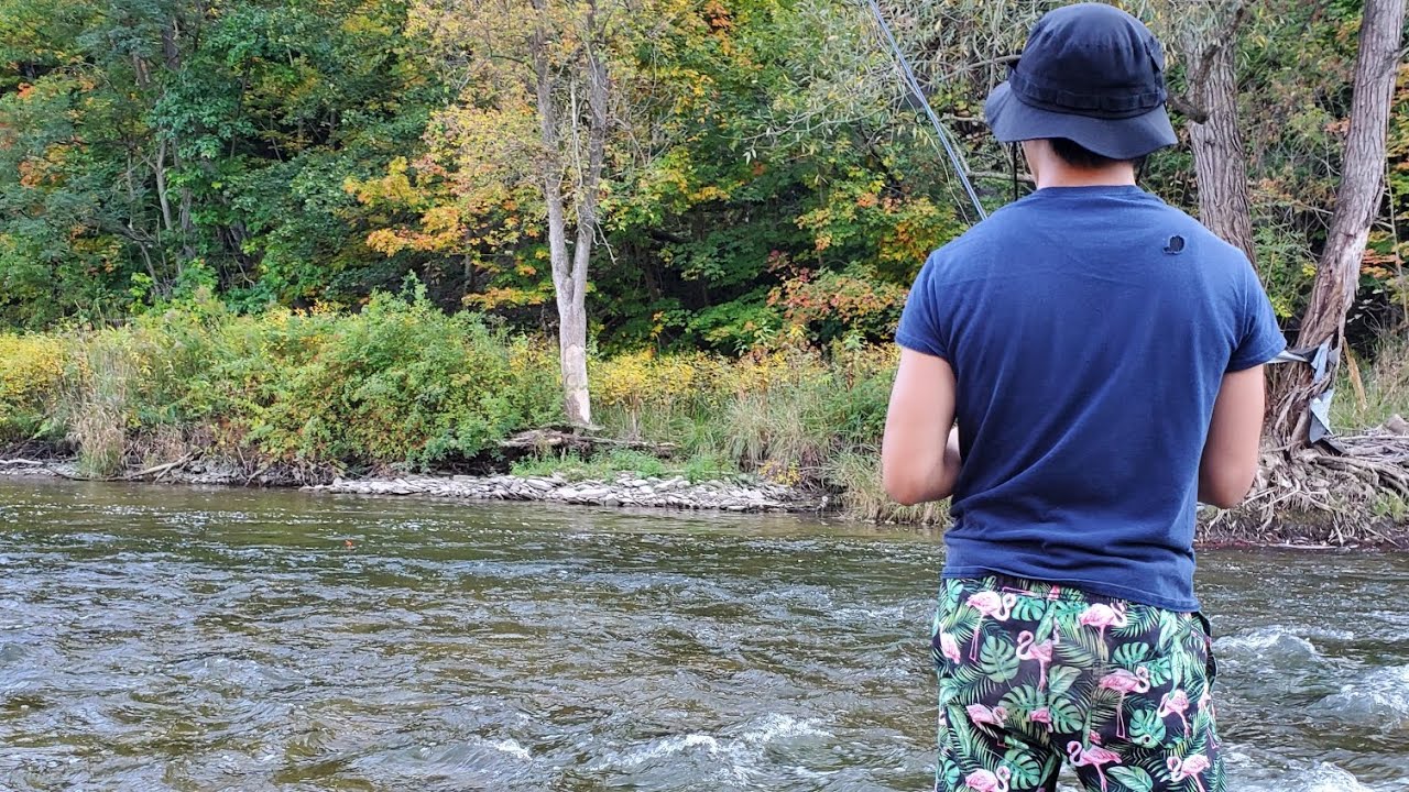 Credit River Salmon Fishing | Erindale Park - YouTube