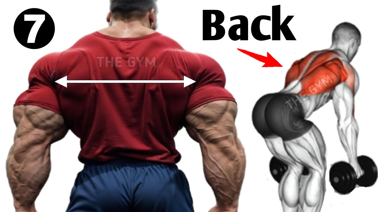 7 Best Back Workout At Gym - YouTube