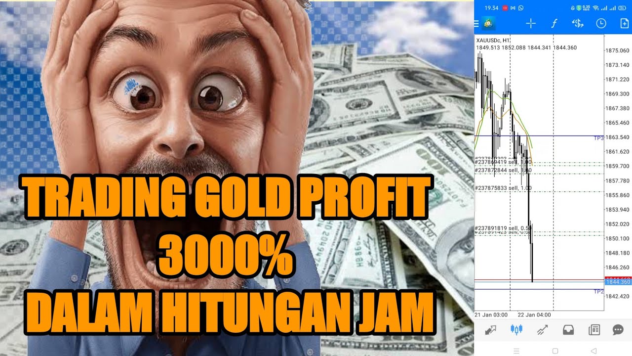 Profit 3000% dalam hitungan jam 😱😱 - YouTube