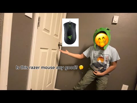 Is this 25 dollar mouse any good? - YouTube