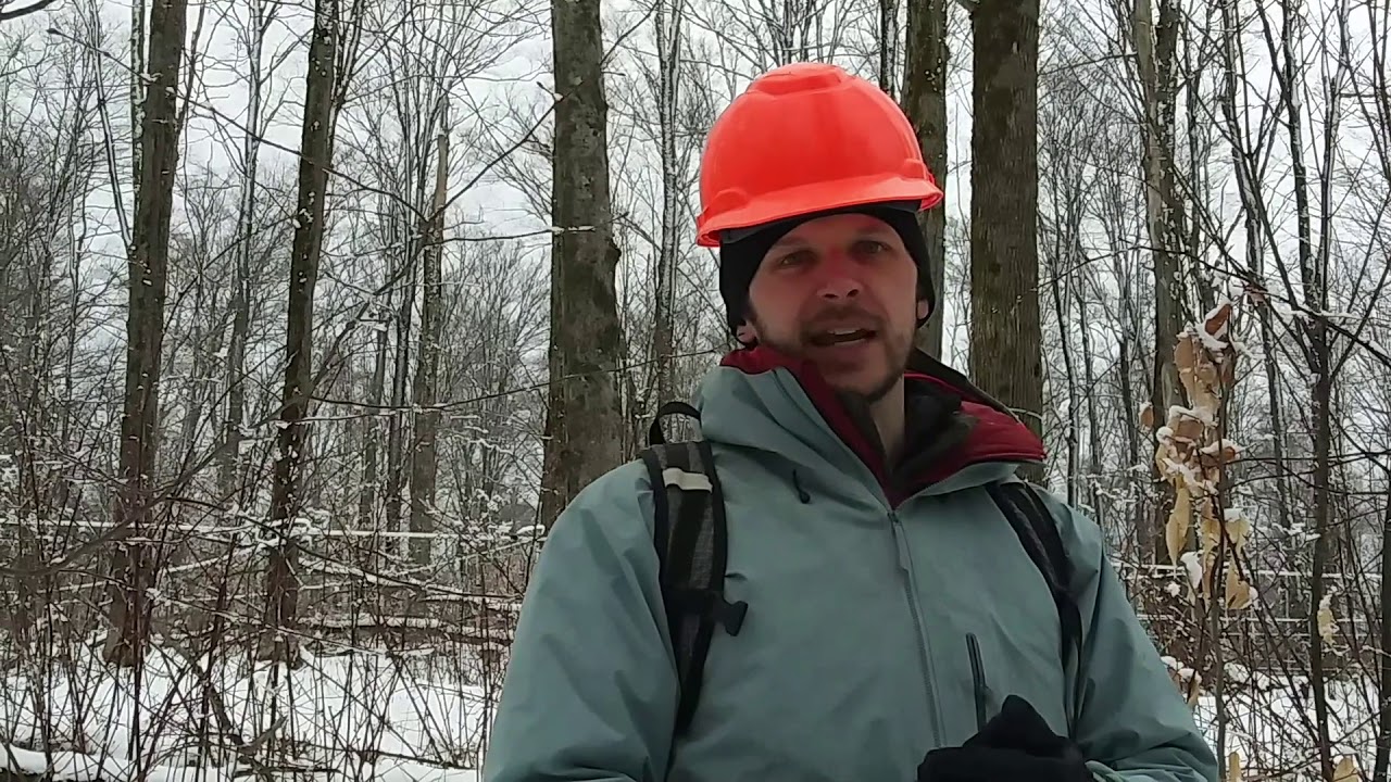 Sugarbush at Heiberg Forest, SUNY ESF - YouTube