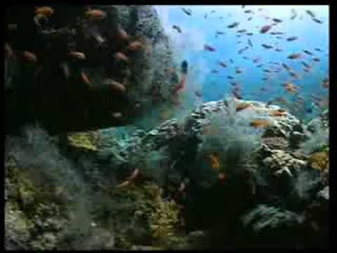 Allah herşeyin hakimidir