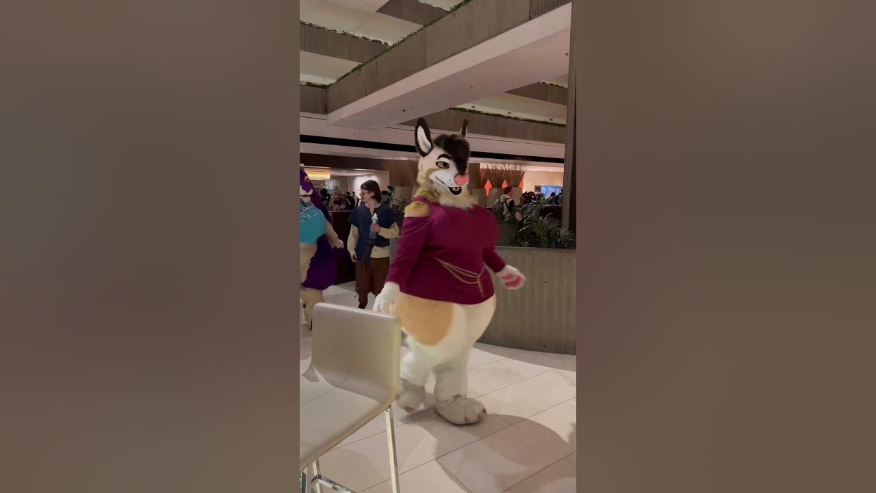 Midwest FurFest 2024 Curvy Furries - YouTube