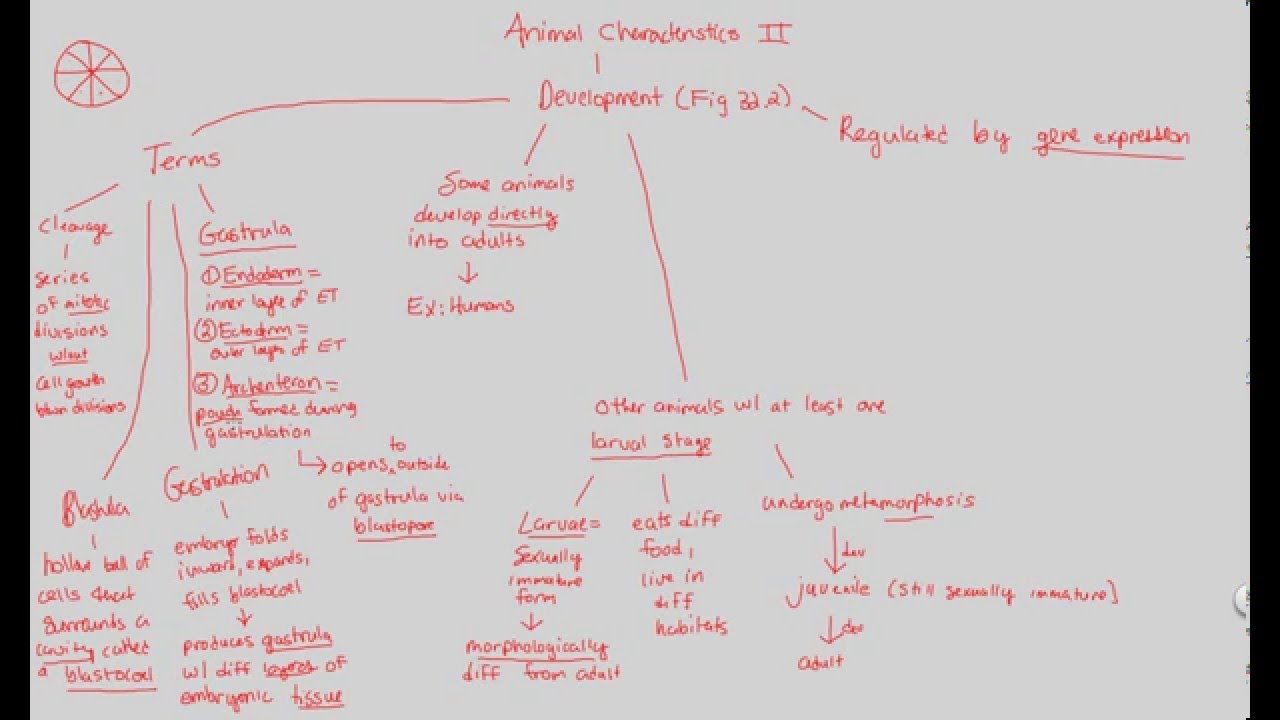 UD II - Animal Characteristics II (Part 2) | BIALIGY.com - YouTube