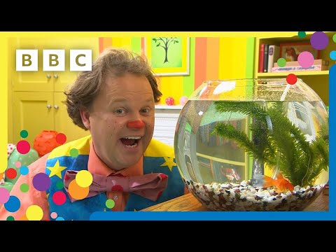 Mr Tumble's Pet Goldfish | Mr Tumble and Friends