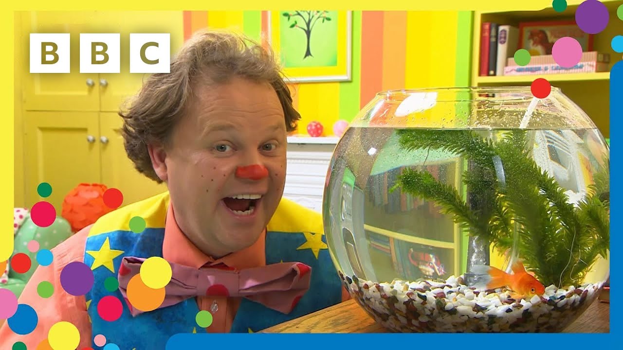 Mr Tumble's Pet Goldfish | Mr Tumble and Friends - YouTube