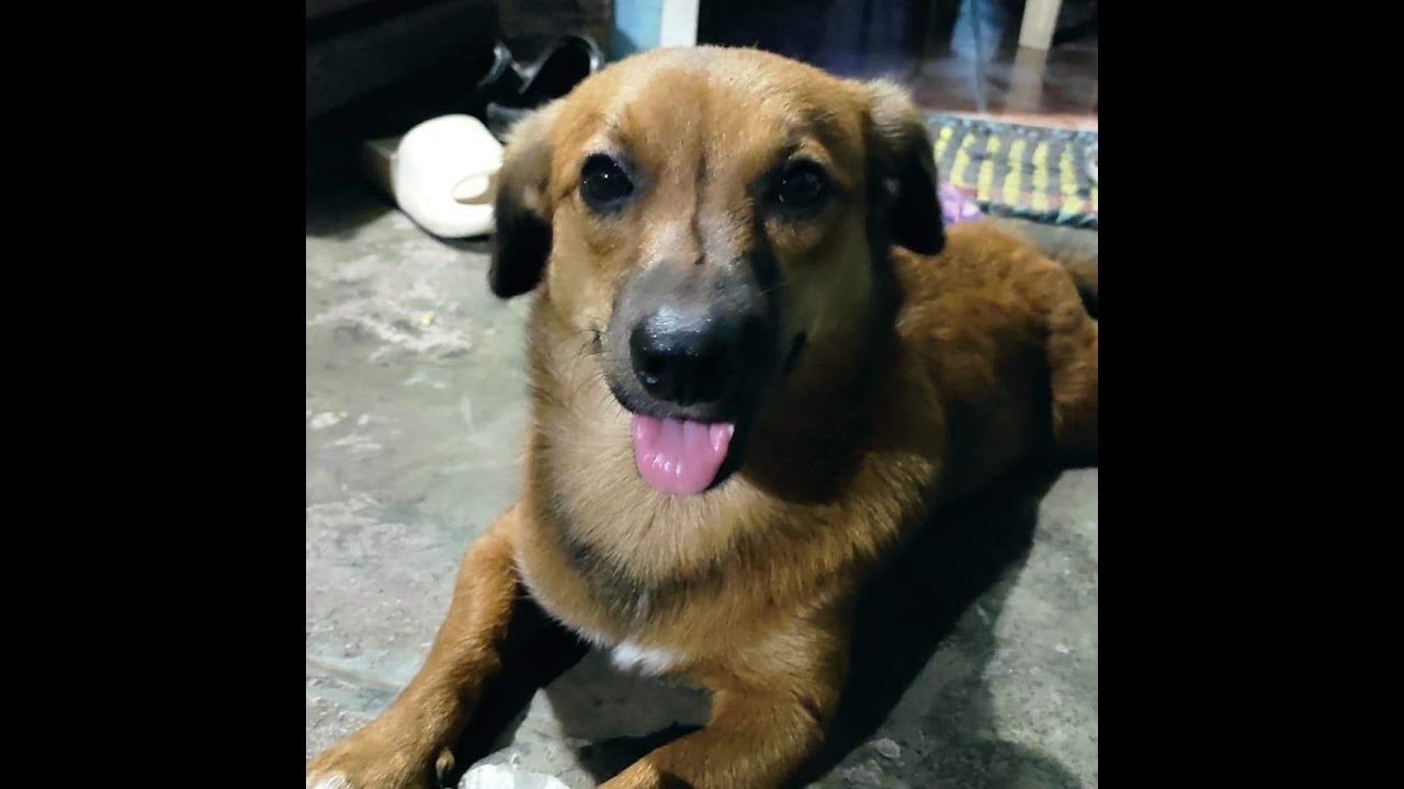 Java First Birthday Video. - YouTube