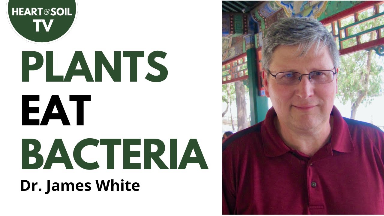 Rhizophagy Soil Science | Professor James White Jr. - Best Sermons ...