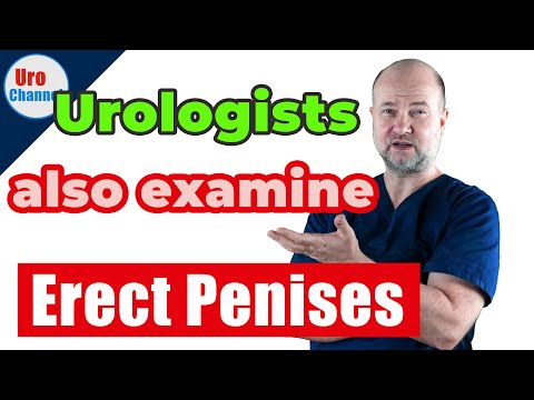 Unbelievable! Urologists examine erect penises! | UroChannel
