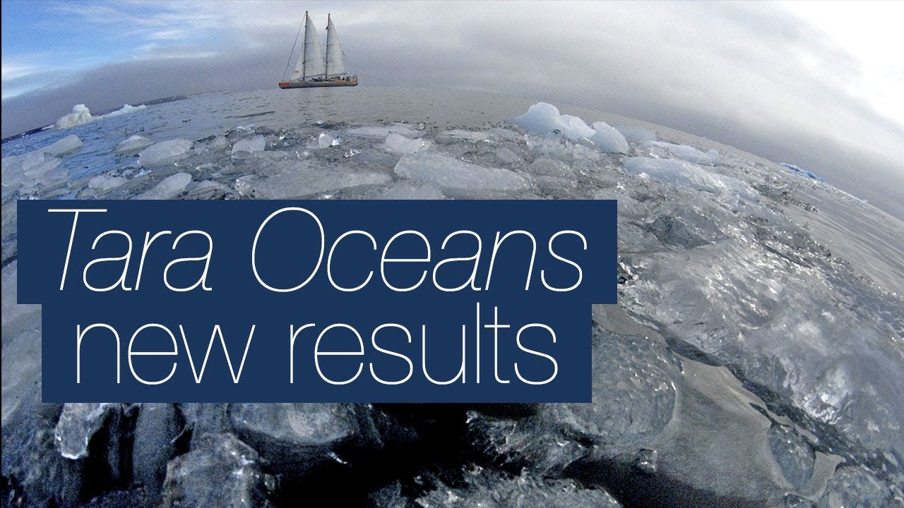 Tara Oceans reveals variations in plankton biodiversity and activity ...