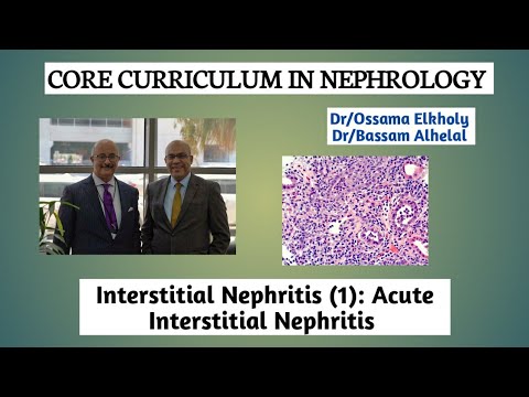 Interstitial Nephritis (1): Acute Interstitial Nephritis Dr/Ossama ...