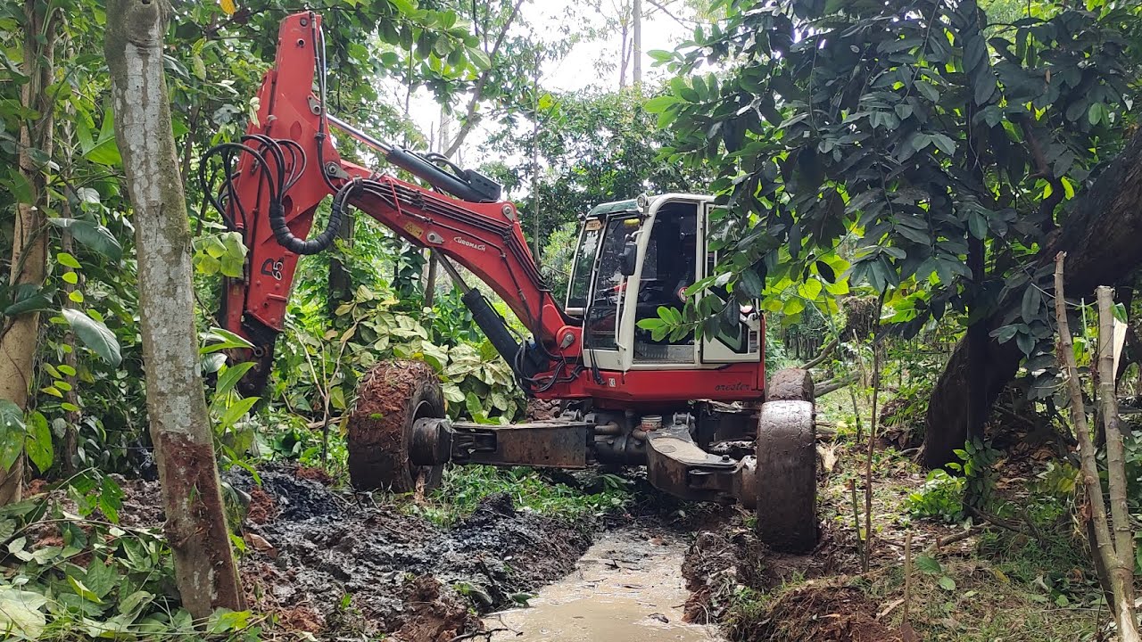 BABAT ALAS 😱!!!. spider excavator EUROMACH R65 work in the forest in ...