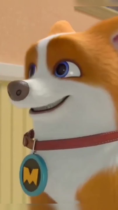 MOCO and Yummy | Who Is The Best Pet 寵物還是自家好 | Flying MOCO Fun Cartoon飞狗MOCO家有小短腿(2023 - YouTube