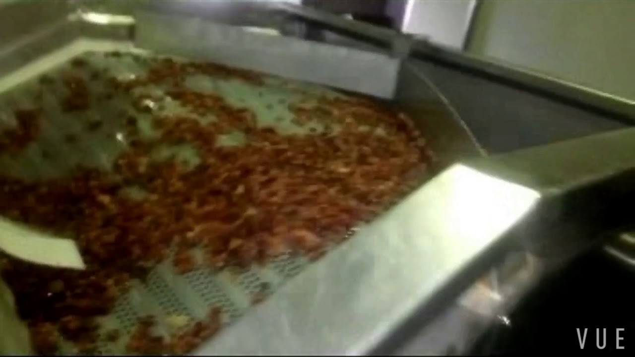 raisin washing and drying machine - YouTube