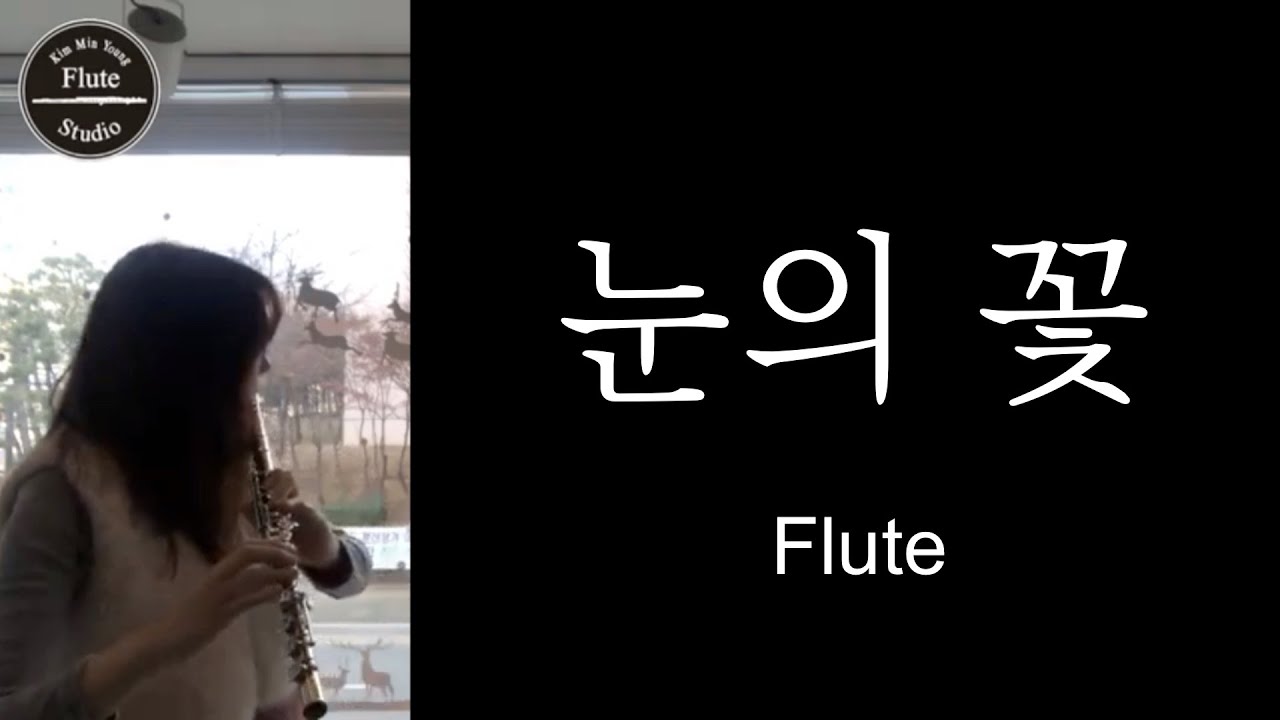 [플룻 연주]미안하다 사랑한다 OST (눈의 꽃 플룻 커버) 박효신. Snow flower(I'm sorry, i love ...