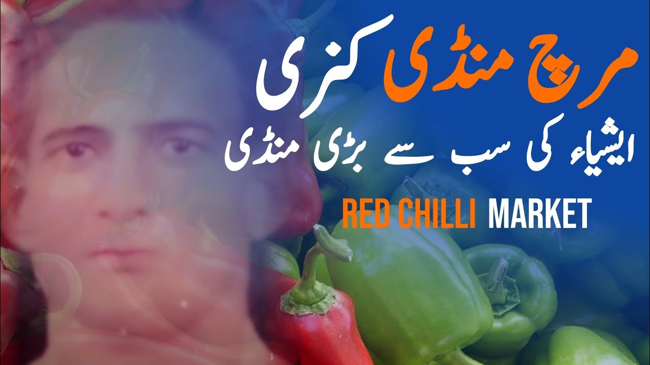 Kunri Mirch Mandi | Asia's Biggest Chilli Market In Sindh Pakistan | # ...