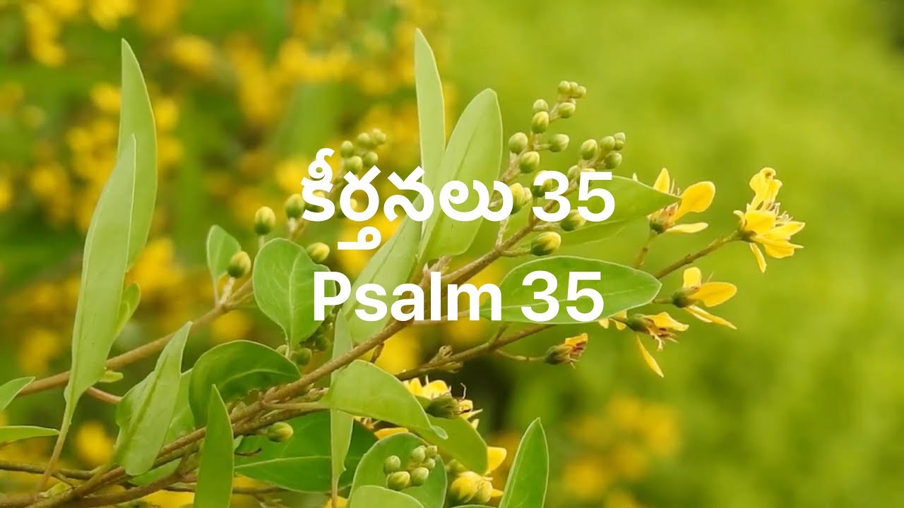 Telugu Bible Audio Psalm 35 35