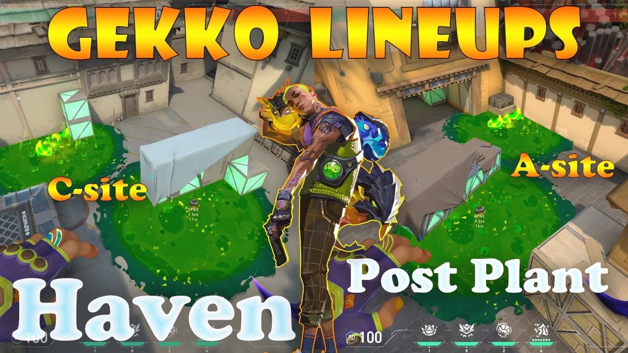 Top 15 Haven Gekko Post Plant Lineups | Gekko Lineups Haven | Gekko ...