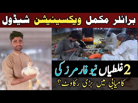 Complete Broiler Chicken Vaccination Schedule | Full Guide for Poultry ...