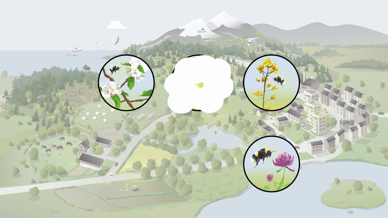 Green Infrastructure - Sustainable Landscapes - Subtitles | Swedish EPA ...