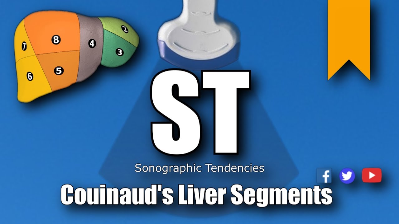 Ultrasound Couinaud's Liver Segments - YouTube